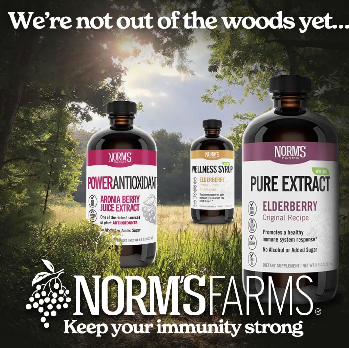 herbal elderberry syrup for natural health