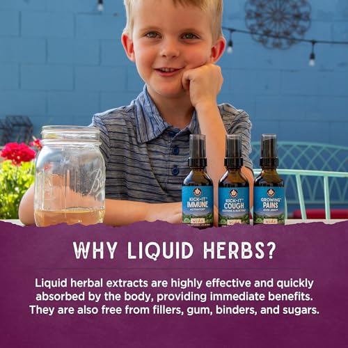 herbal elderberry syrup for wellness