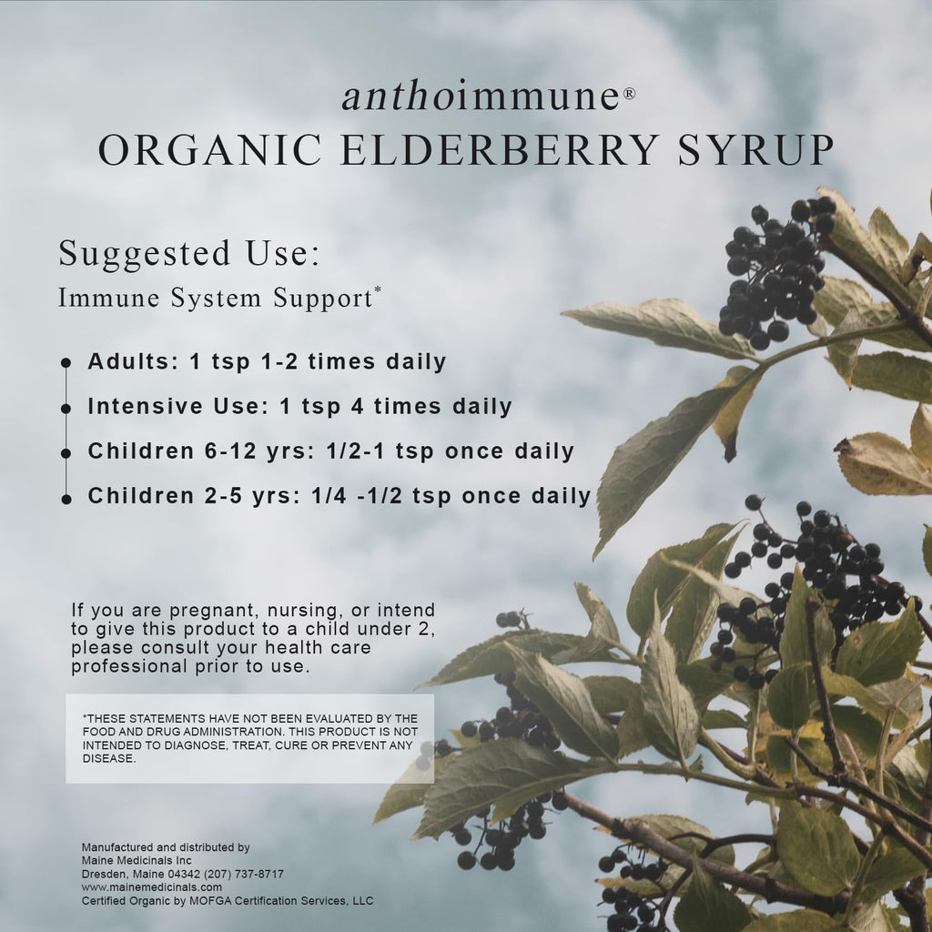 herbal elderberry syrup for wellness
