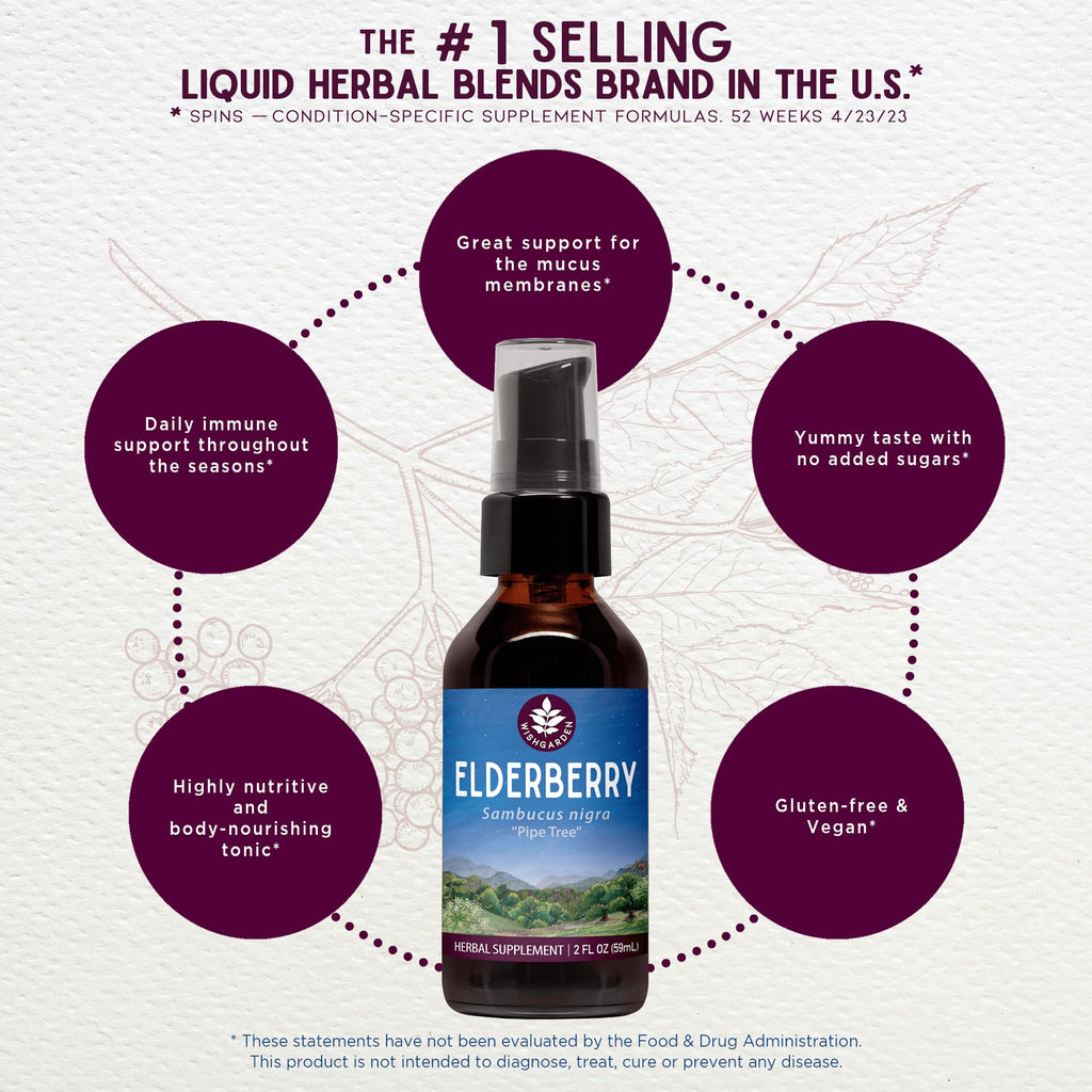 herbal elderberry tincture for wellness