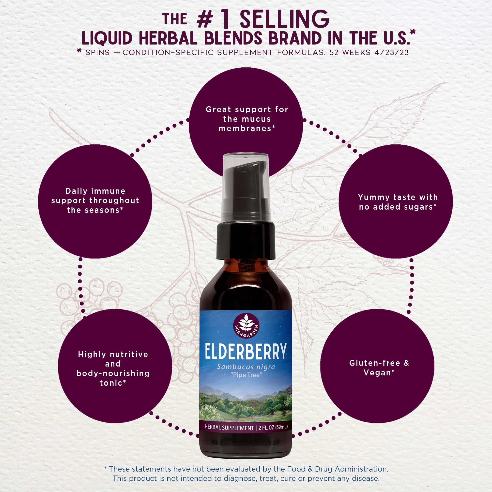 herbal elderberry tincture for wellness