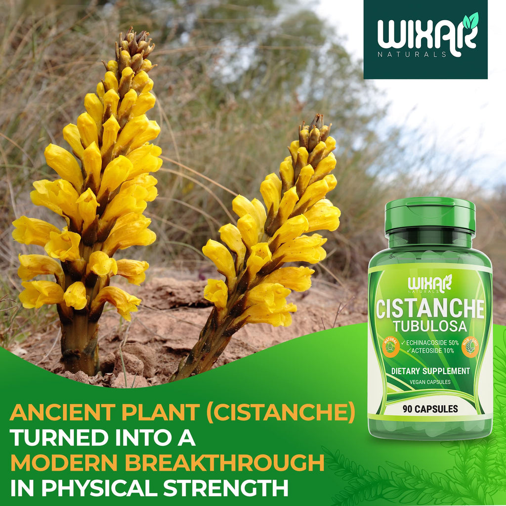 herbal energy and memory capsules