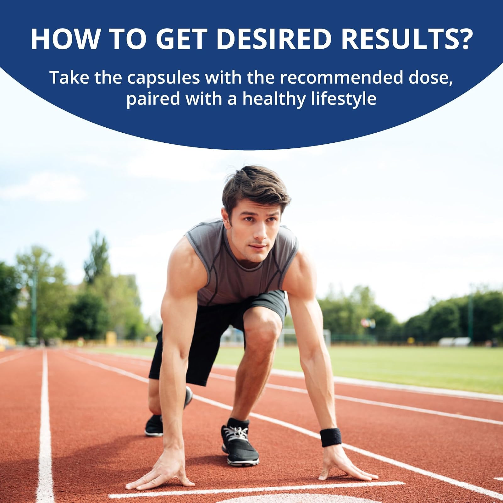 herbal energy boost from ginkgo biloba