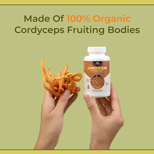 herbal energy boost from mushroom capsules