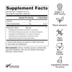 herbal energy boost syrup 6.7 fl oz