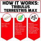Herbal energy booster capsules