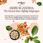 herbal energy booster Goodness Lover