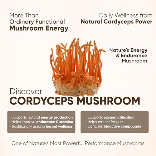herbal energy supplement for workouts