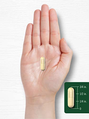 Herbal energy supplement green coffee