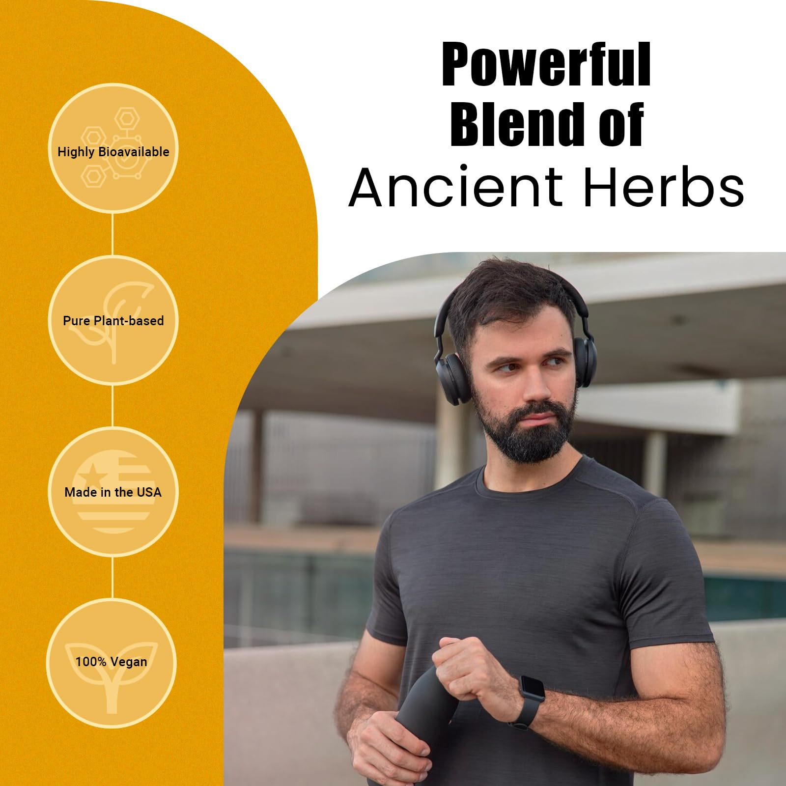herbal energy supplement with shilajit