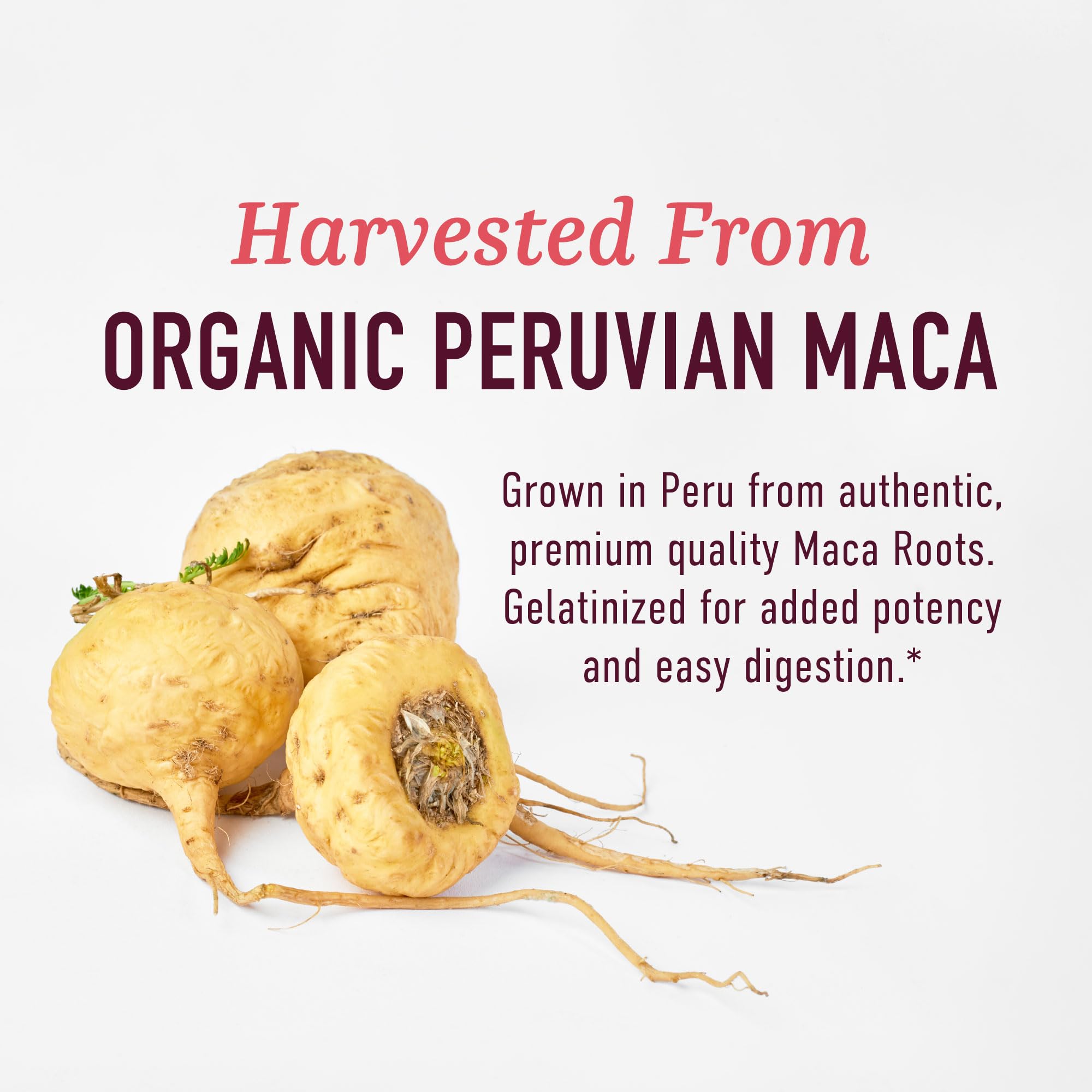 herbal energy supplements with maca