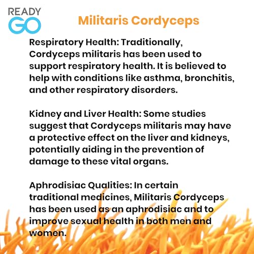 Herbal energy support with Cordyceps