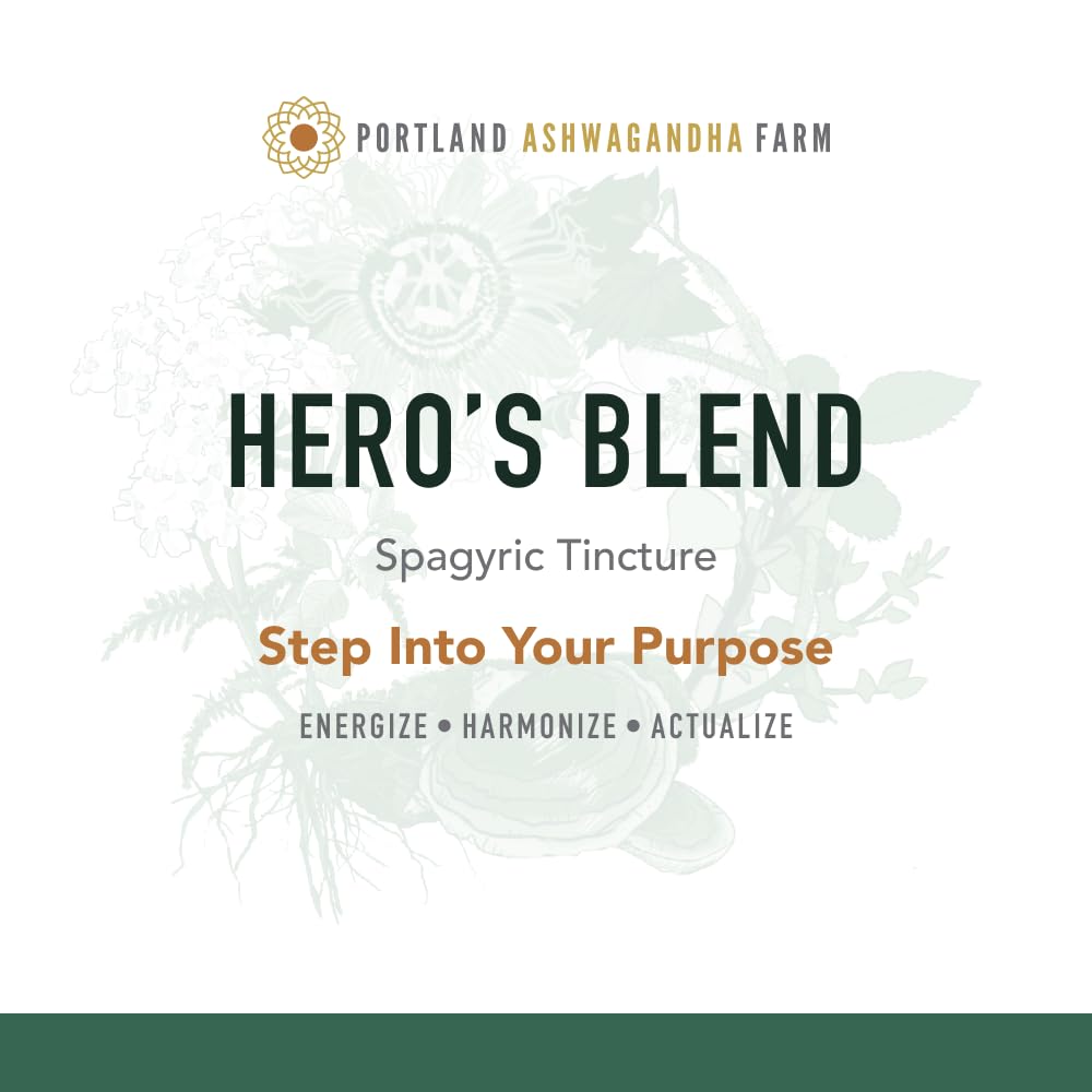 herbal energy tincture for busy lifestyles