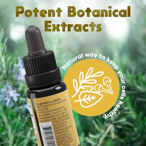 herbal essential oil for vitality