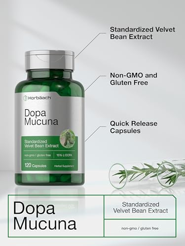 Herbal extract for mental clarity
