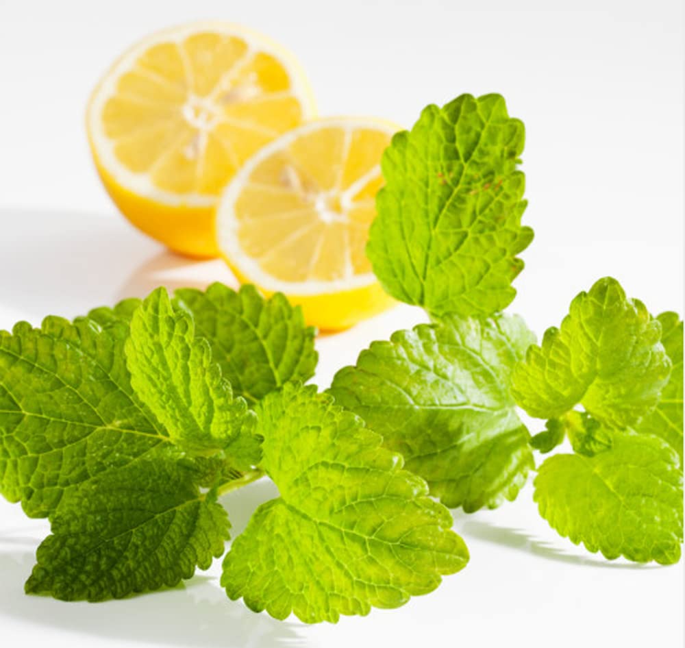 herbal extract for relaxation