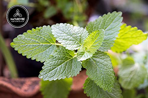 herbal extract powder for relaxation