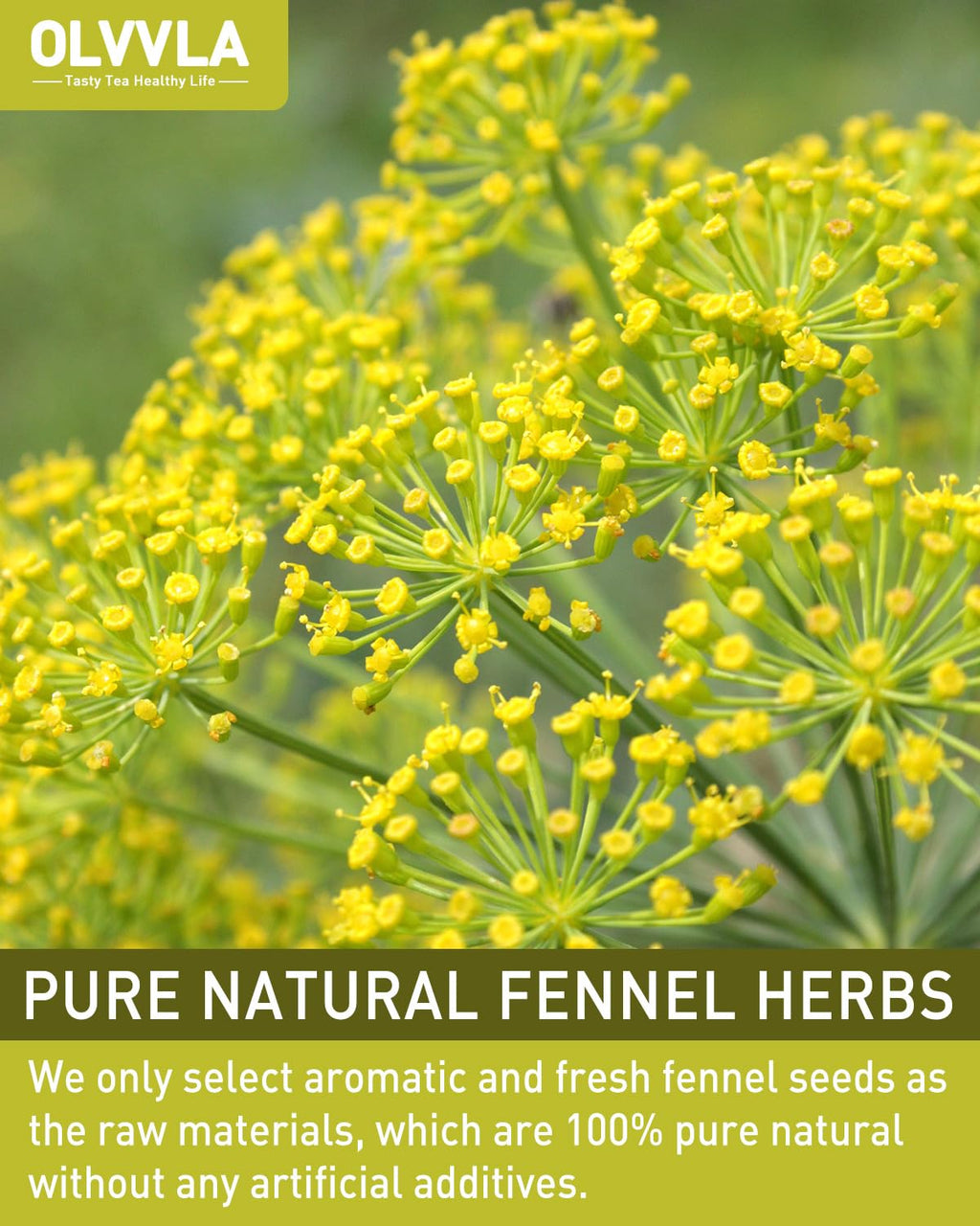 Herbal fennel tea bags 50 count