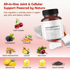 herbal formula with elderberry and turmeric