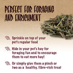 herbal garden food for furry friends