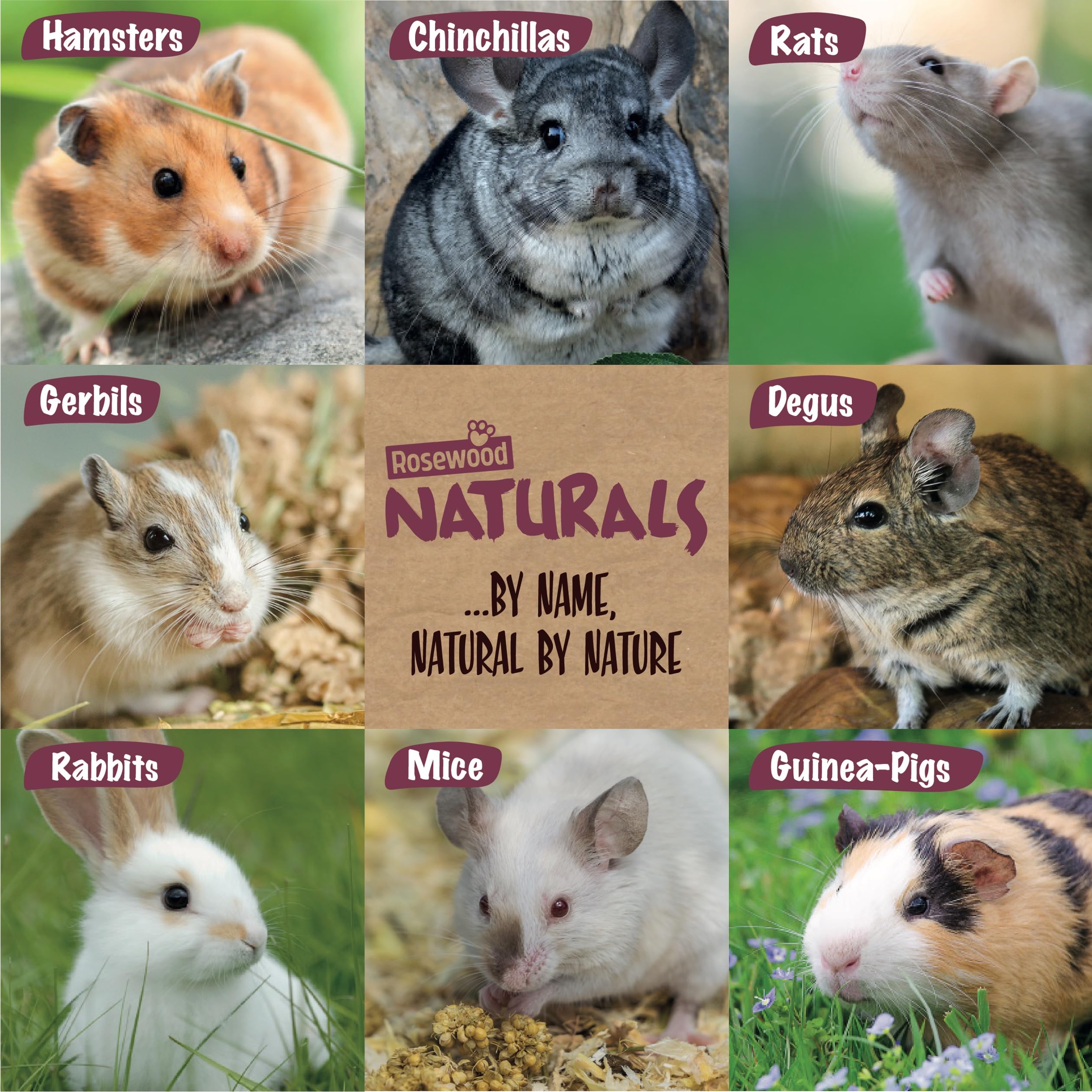 herbal garden food for hamsters