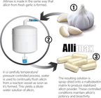 Herbal garlic capsules for digestion