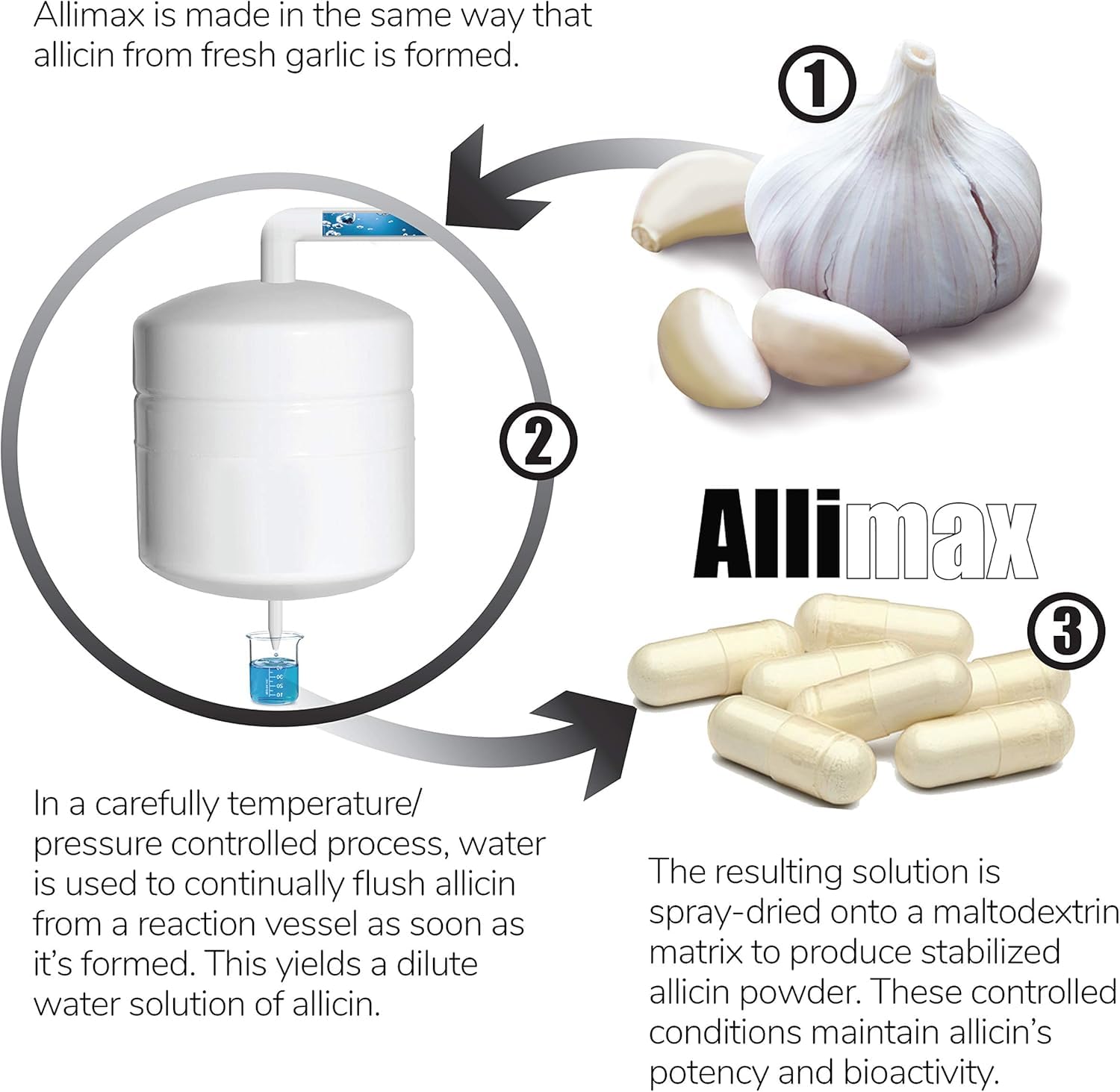Herbal garlic capsules for digestion