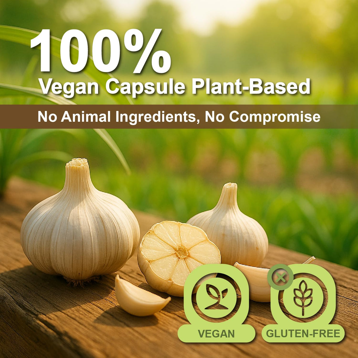 herbal garlic capsules for digestion
