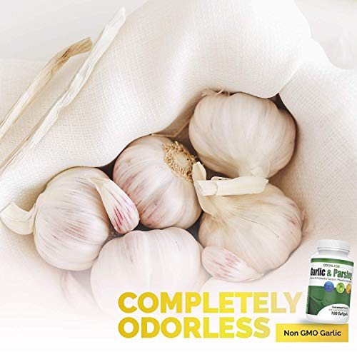 herbal garlic supplement for cholesterol
