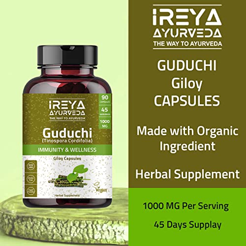 herbal giloy capsules for cellular defense