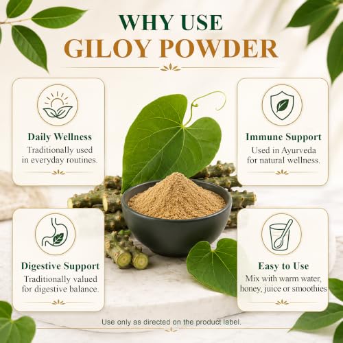herbal giloy powder for health