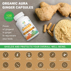 herbal ginger capsules for digestion