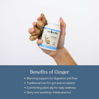 Herbal ginger capsules for immune support