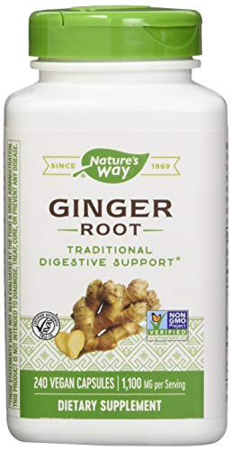 herbal ginger for digestive wellness