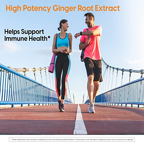 herbal ginger for nausea