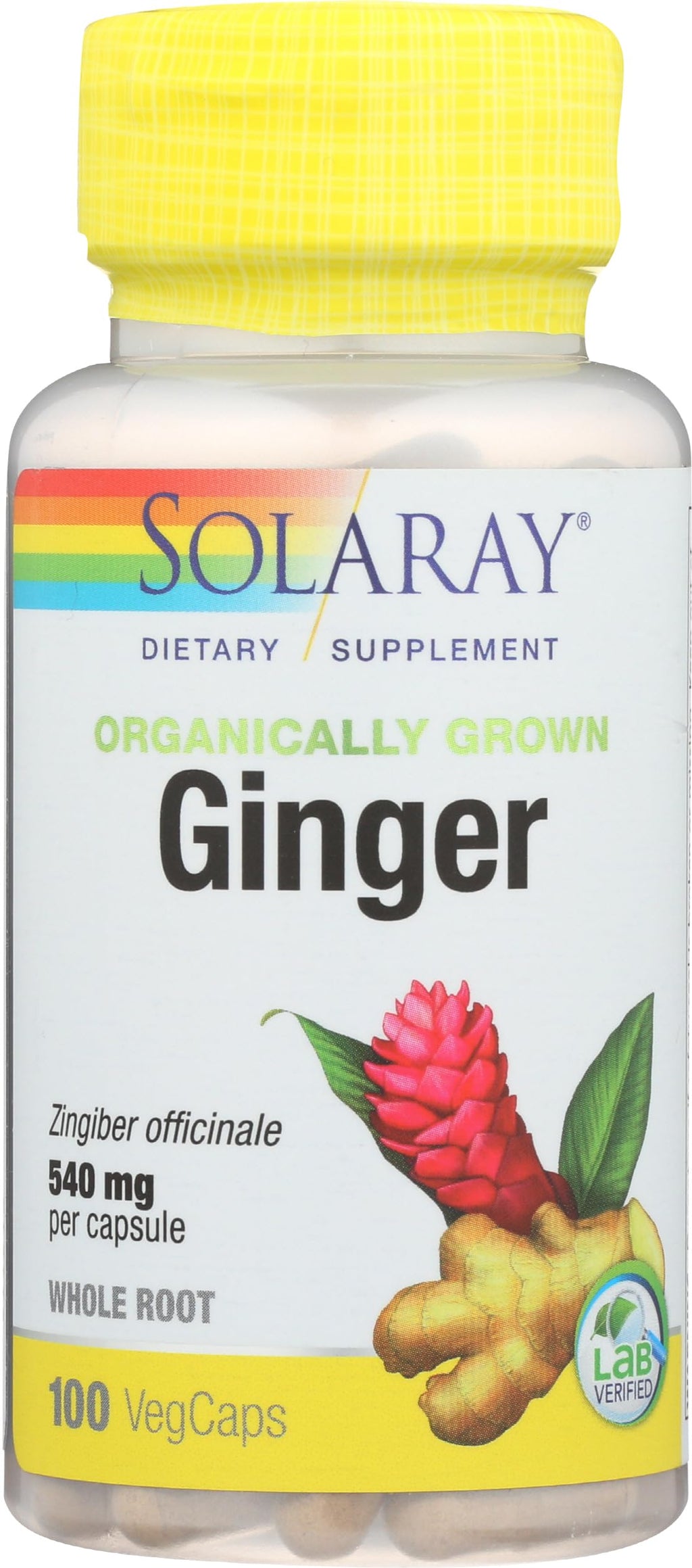 herbal ginger for overall health