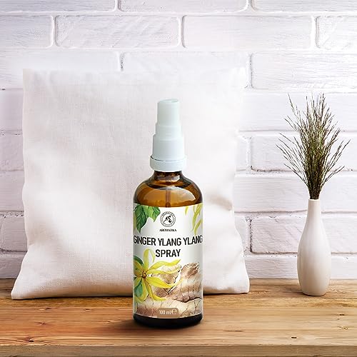 Herbal ginger mist for wellness