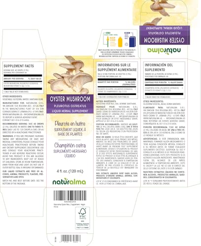 herbal ginger remedy for digestion