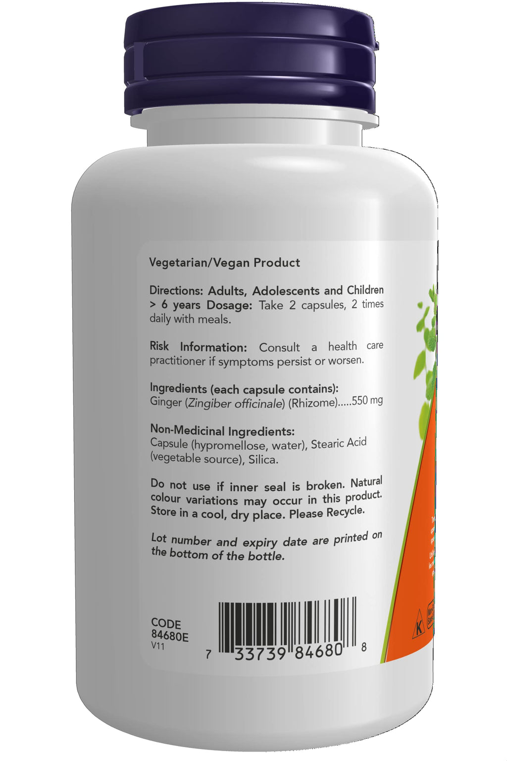 herbal ginger root benefits