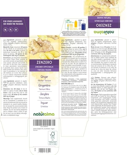 herbal ginger supplement for digestion