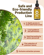 herbal ginkgo biloba drops for focus
