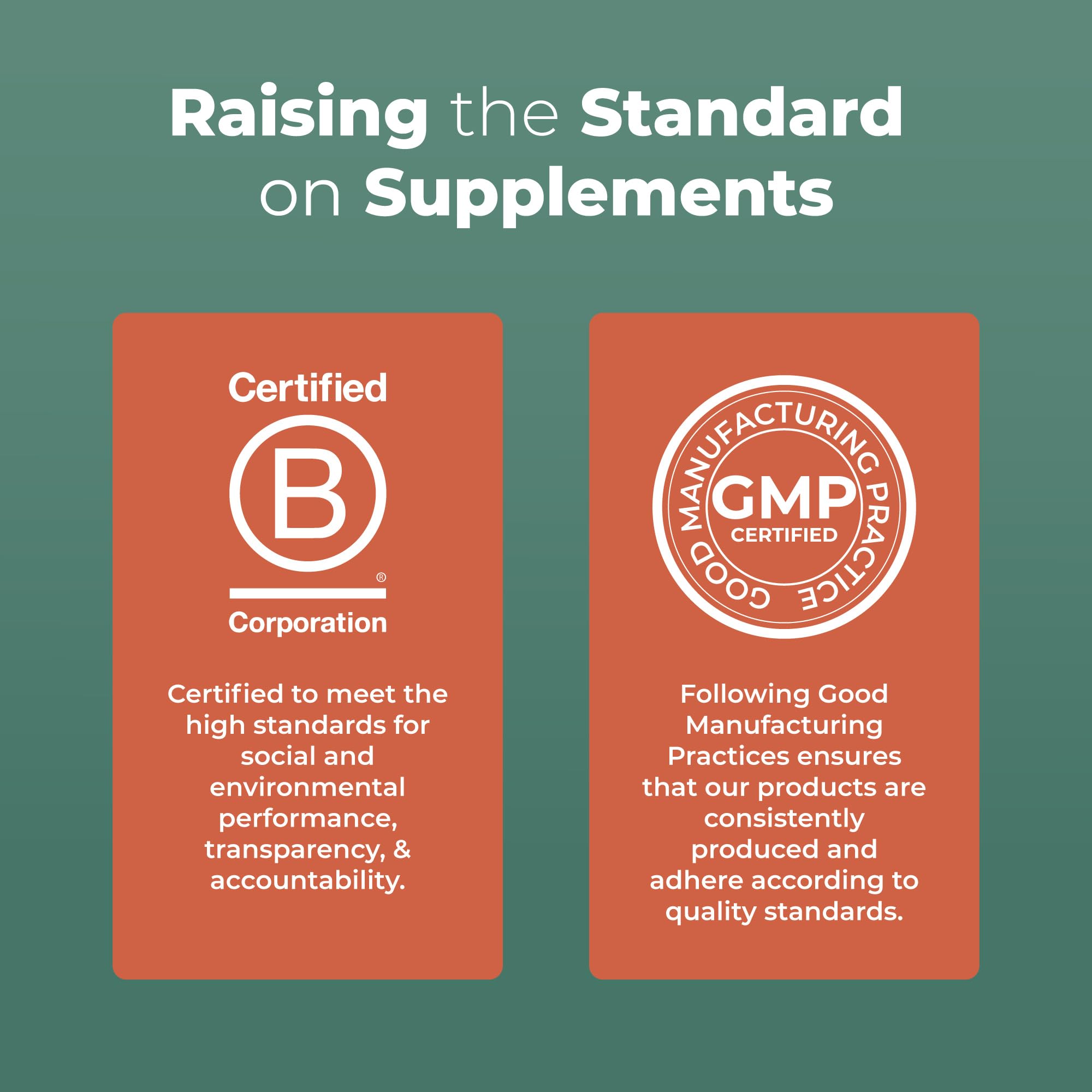 herbal ginkgo biloba energy boost