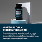 herbal ginkgo biloba energy booster