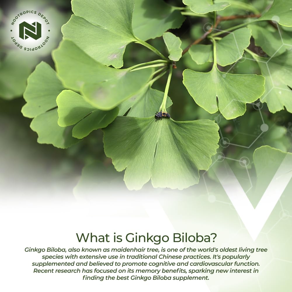 herbal ginkgo biloba extract for mental clarity