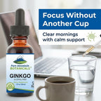 herbal ginkgo biloba extract for wellness