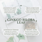 herbal ginkgo biloba for cognitive support