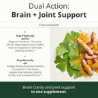 herbal ginkgo biloba for improved focus