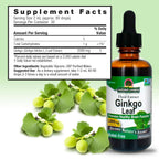 herbal ginkgo biloba for memory