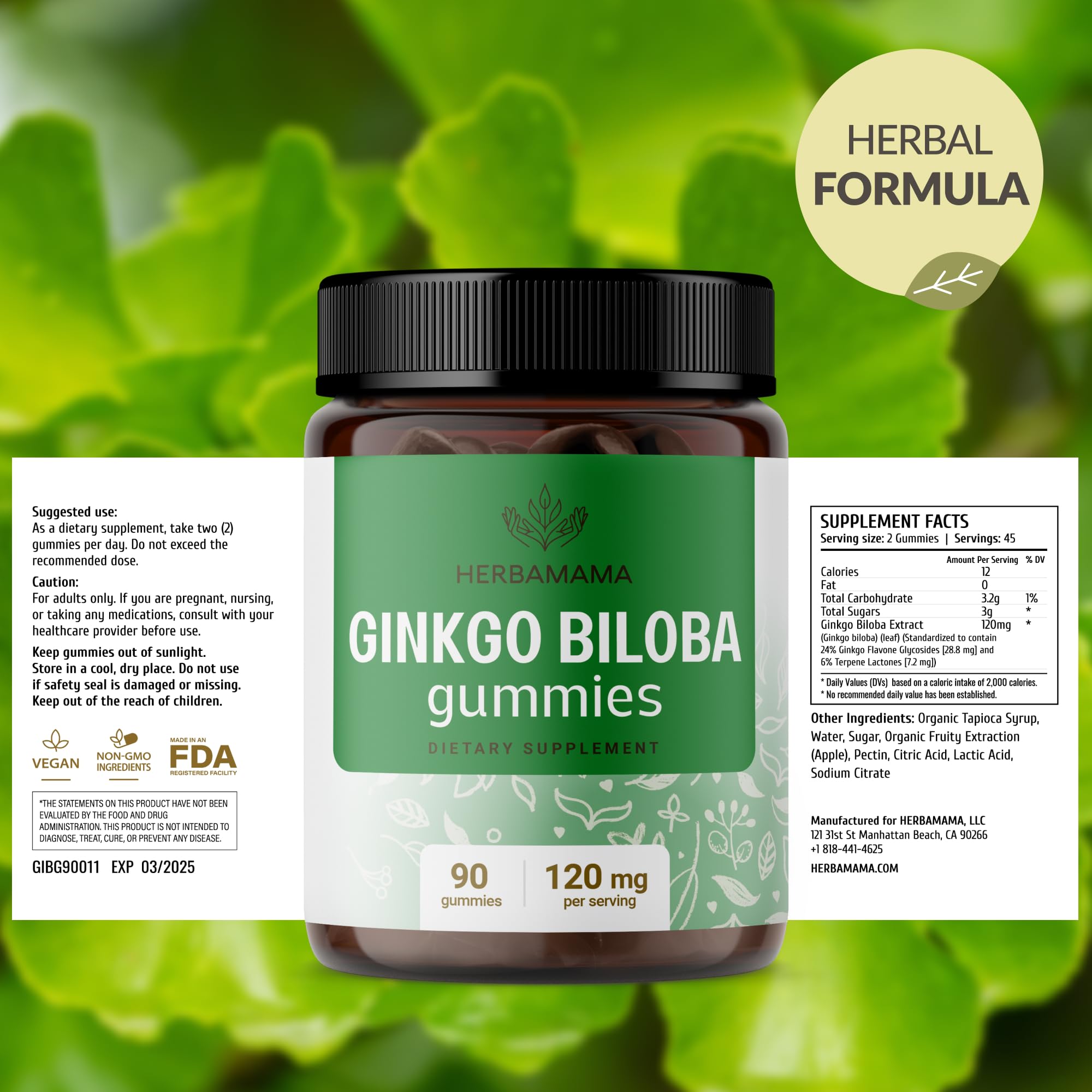 herbal ginkgo biloba for mental clarity