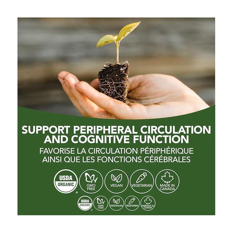 herbal ginkgo biloba for mental clarity